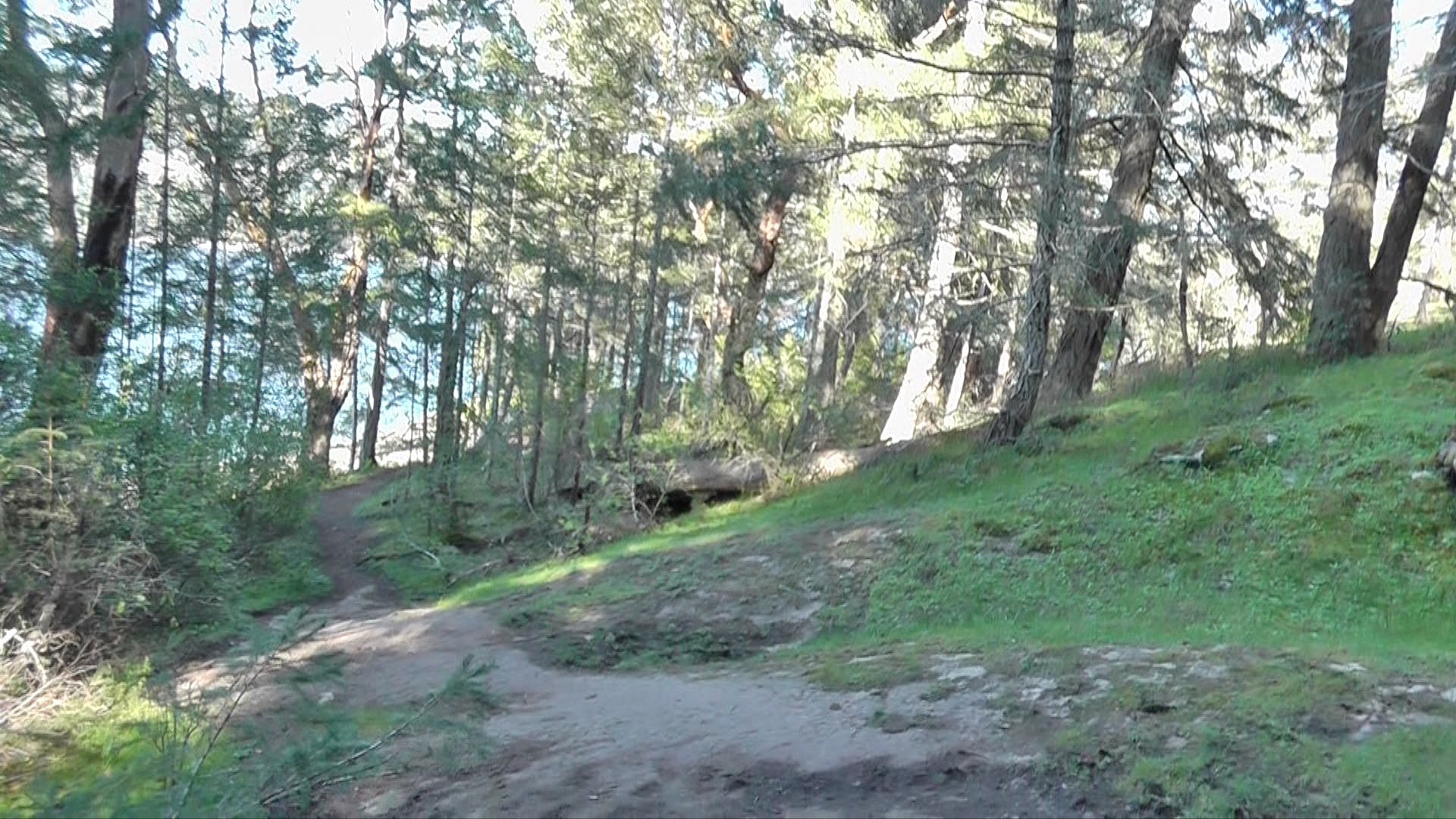 Hiking the Cable Bay Trail - Frazzledad
